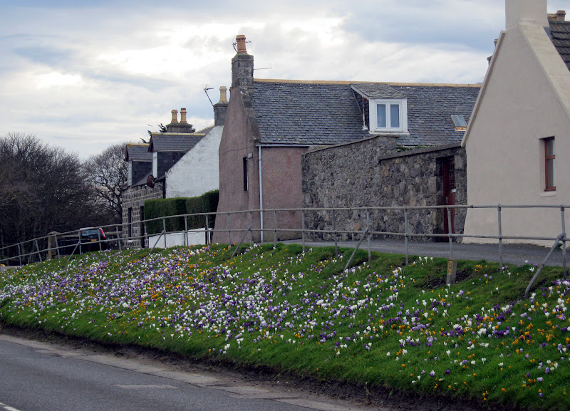 walking the rainbow trail: Portsoy: a rare iron and stone gravemarker