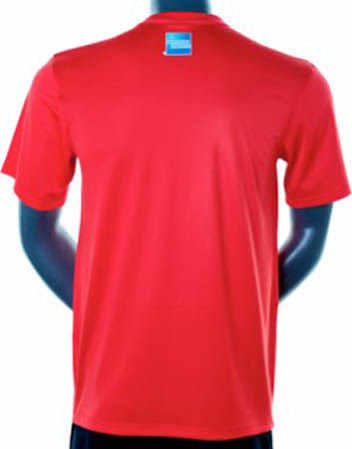 Nike Brighton and Hove Albion 15-16 Kits Released - Footy Headlines