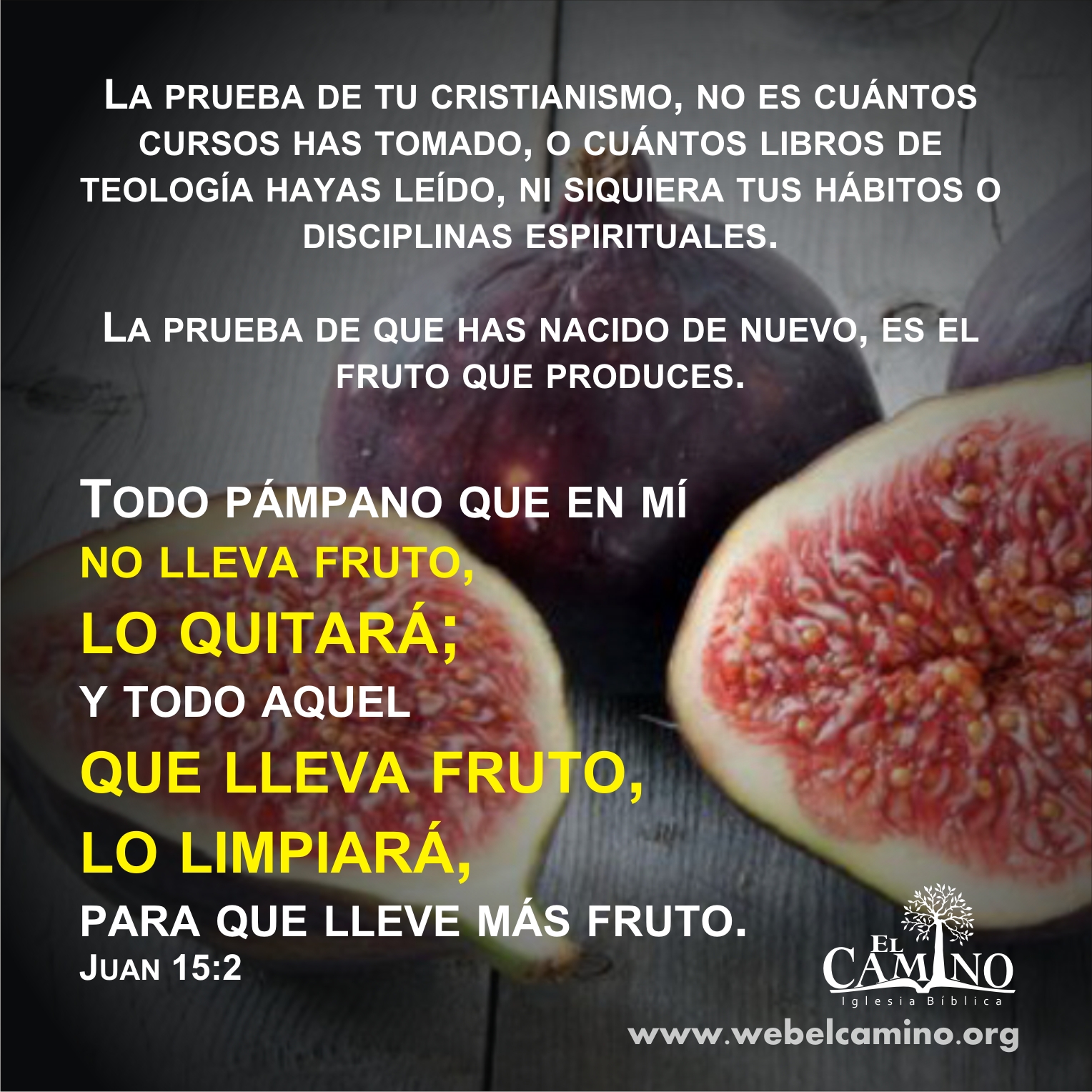 Qual Era O Fruto Proibido - LIBRAIN