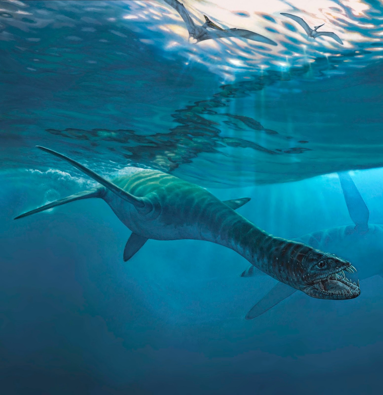 Species New to Science: [Paleontology • 2017] Nakonanectes bradti • A ...