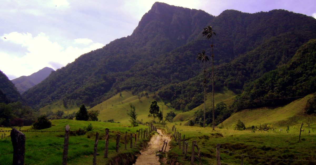 Rutas De Montaña.: CERRO MORROGACHO - VALLE DE COCORA