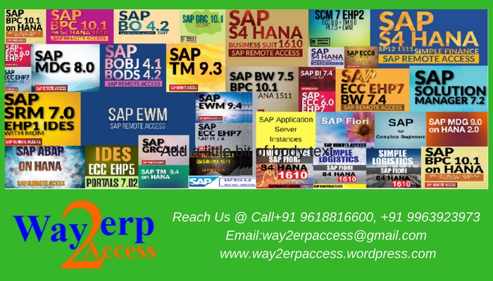 Online Sever Access: SAP Remote IDES, Non-IDES Online Server Access ... Online Sever Access: SAP Remote IDES, Non-IDES Online Server Access ...