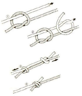 Tecnica Scout: 8 nudos basicos Scout