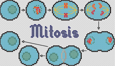 Anne's Handspun: Mitosis Cross Stitch Pattern