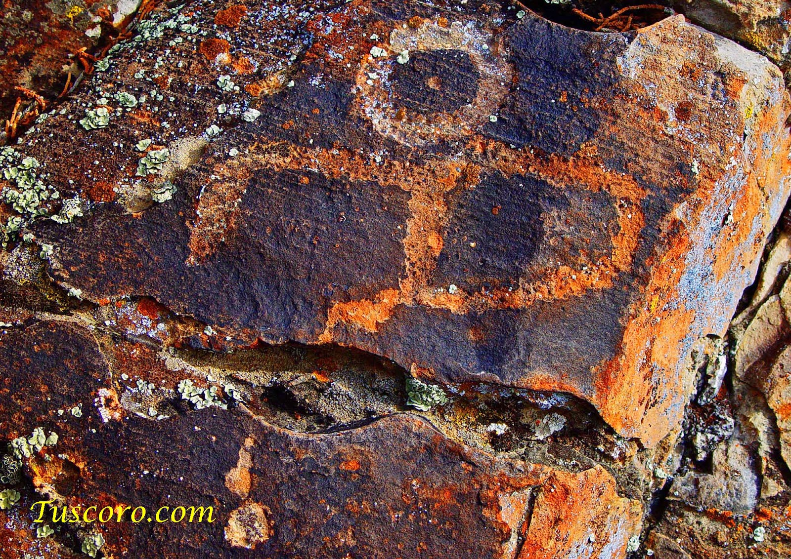 Tuscoro: The Native American Petroglyph and Pictographs. PART ONE