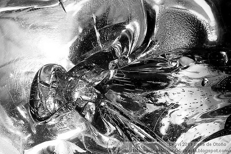 Fotos Abstractas 2050 - 2051 Dolor por la muerte del Otoño - Grief over ...