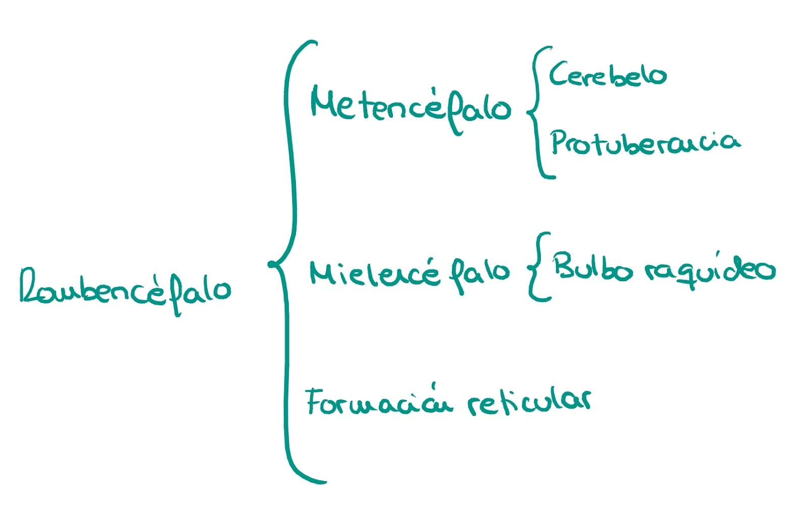 Un paso más cerca del conocimiento (Atlas de neuroanatomía).: ENCÉFALO ...