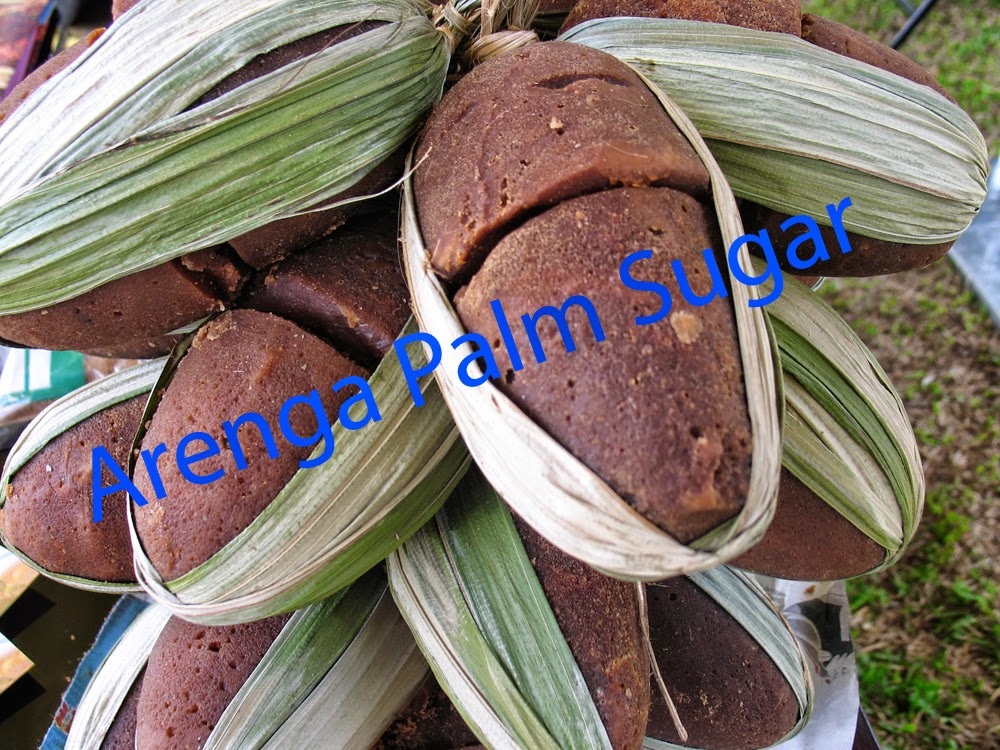 Bentuk Gula Aren | Arenga Indonesia Stories