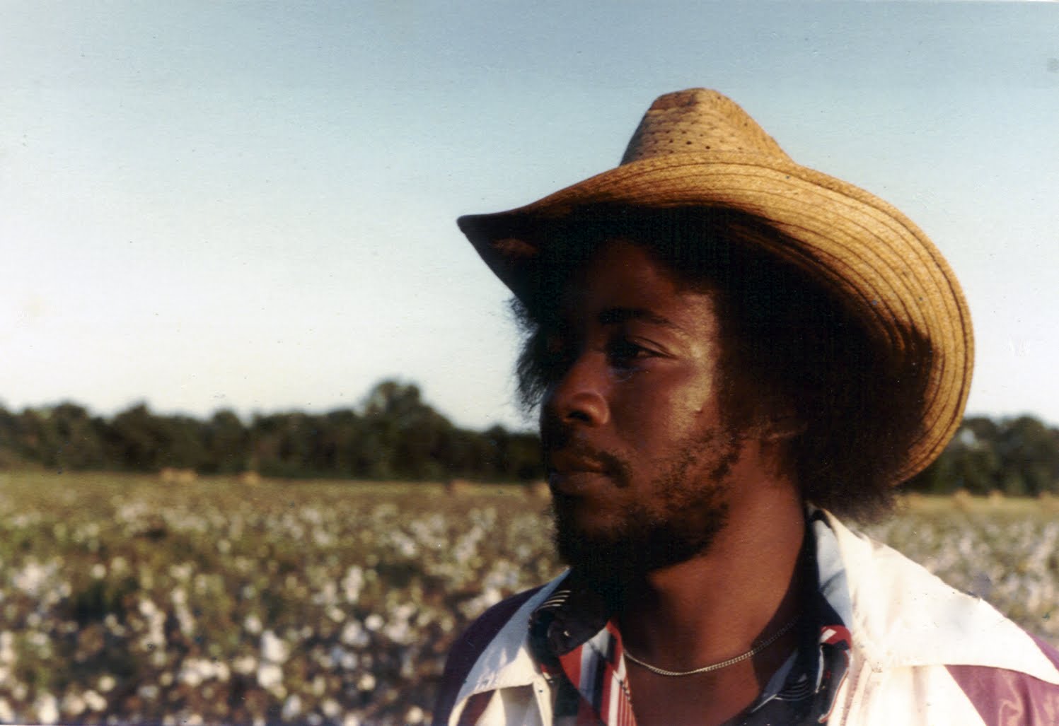 the NAVASOTA CURRENT: An old artist friend: David Woods