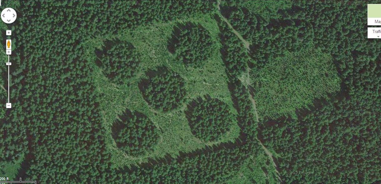 Tahoma Beadworks & Photography: Weird Things on Google Maps/Earth