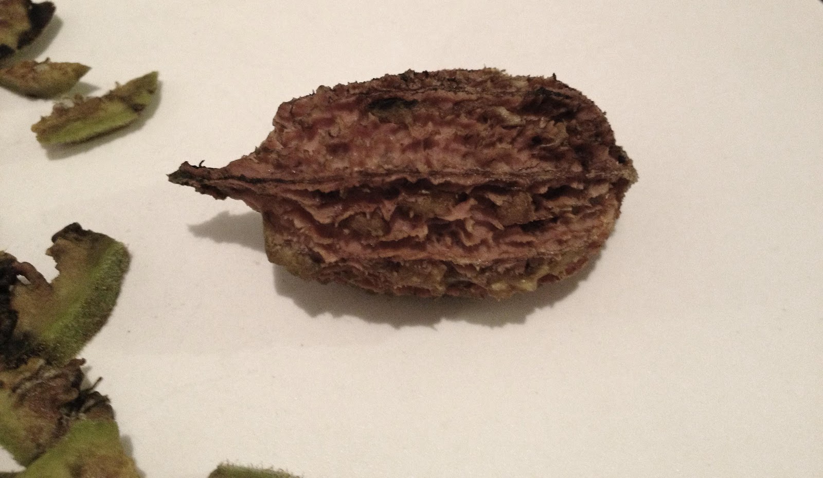 GRAIKIŠKAS RIEŠUTAS (JUGLANS REGIA)