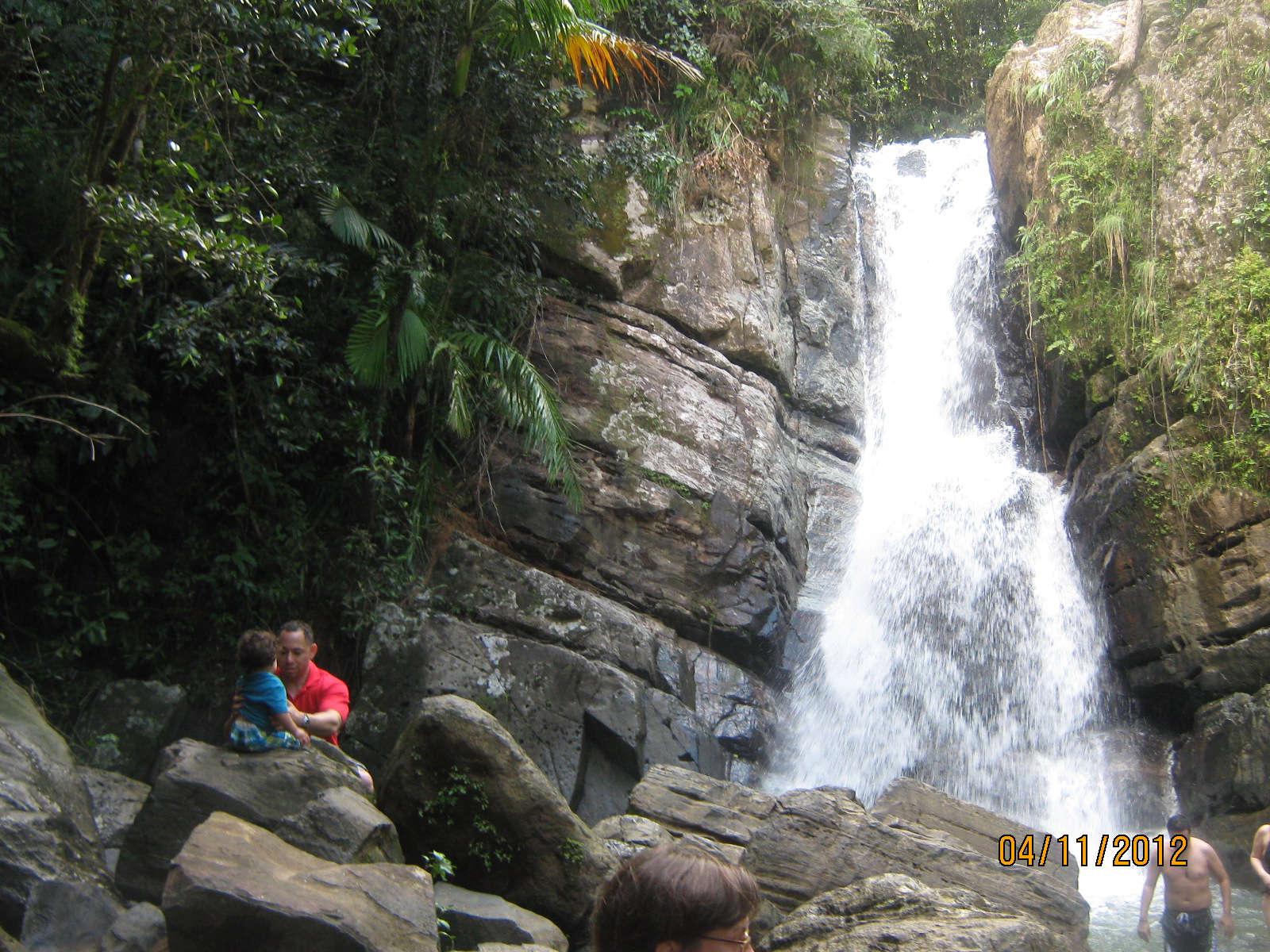 The Spanglish House: El Yunque National Forest