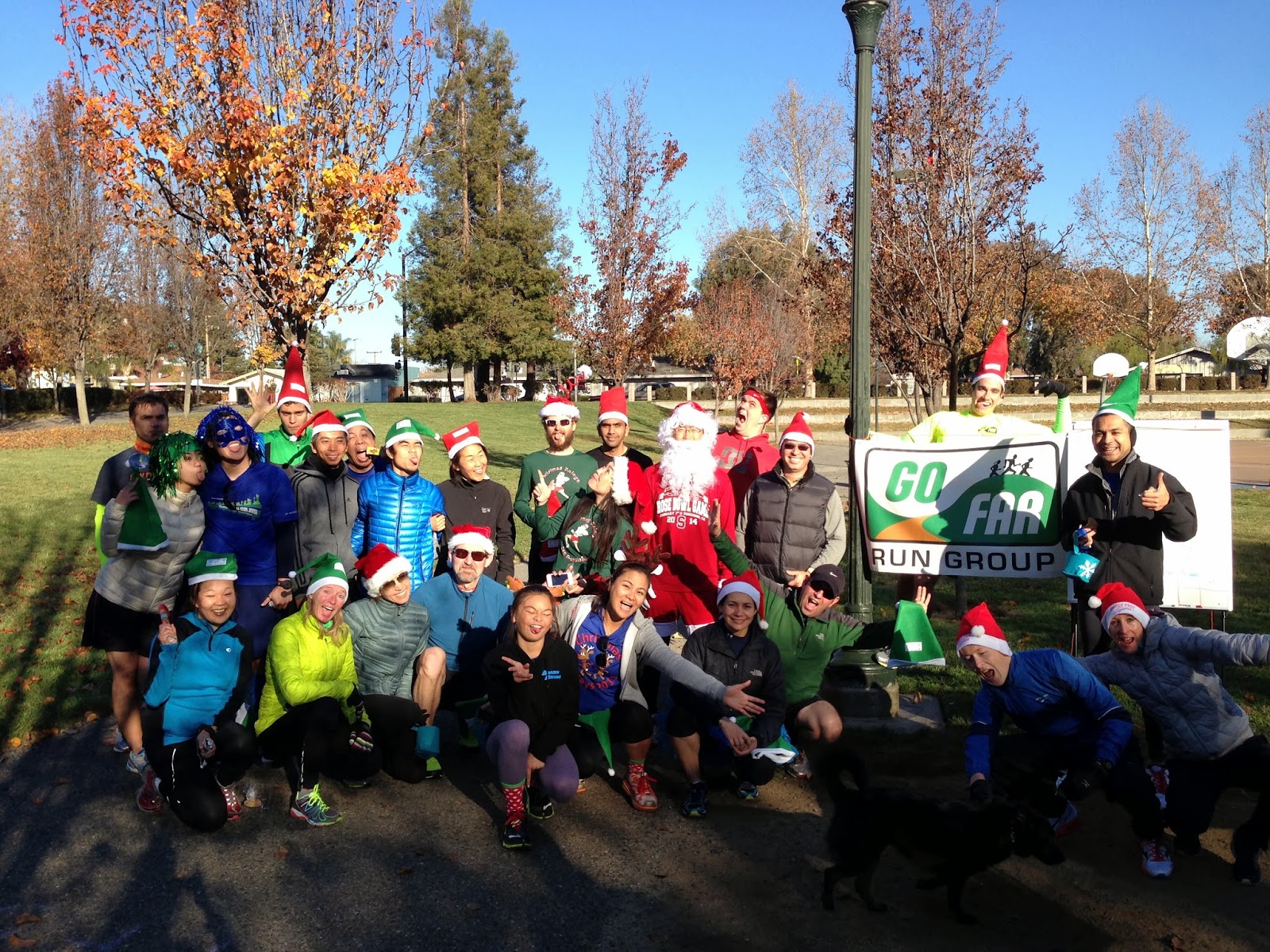 Go Far Run Group