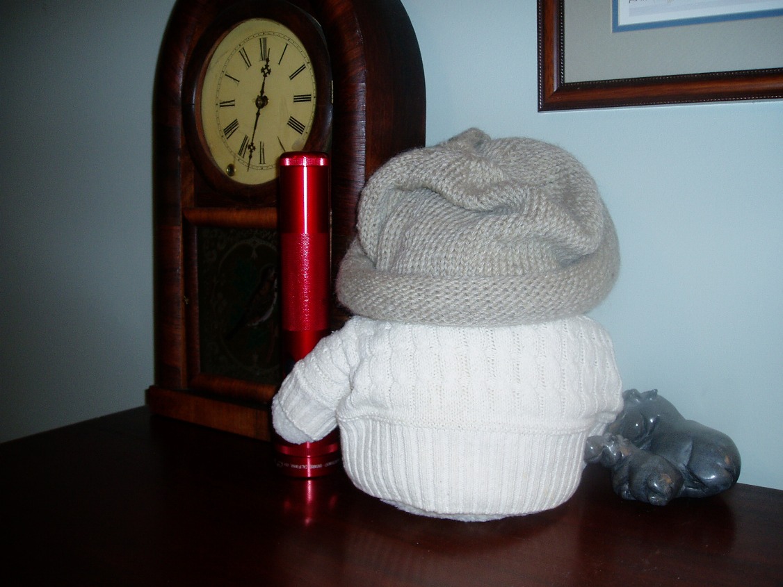 ZeroBear Blog - The Adventures of a Southern PolyBear: Yak, Yak, Yak