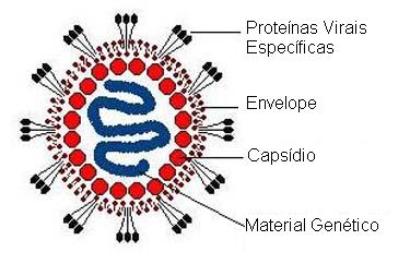 Βιοςλογος: VíRUS