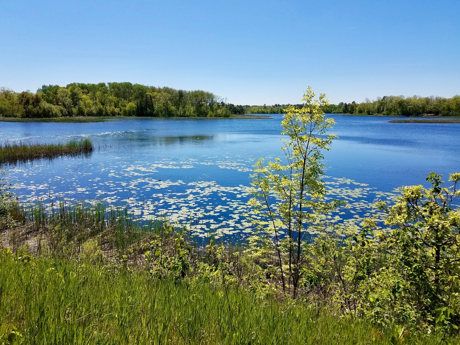 Along the Way: Heartland State Trail - Park Rapids to Walker (MN)
