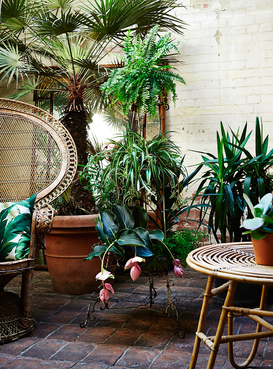 interiorelooking: BOTANICAL STYLE