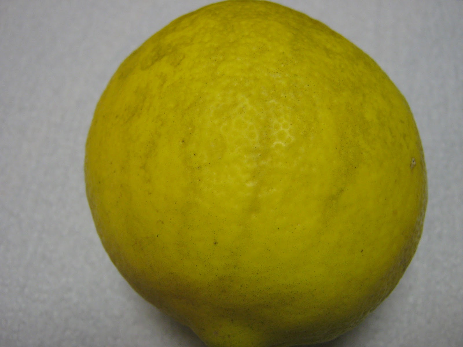 Garden Guy Hawaii: Grapefruit Melanose