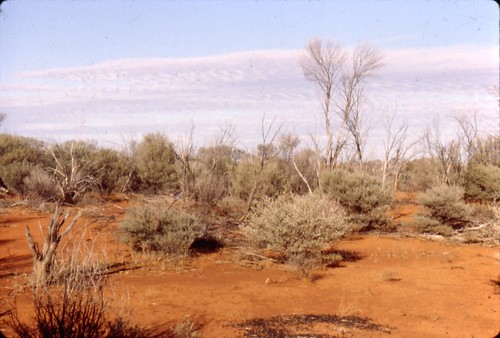 The Great Victoria Desert: The Great Victoria Desert