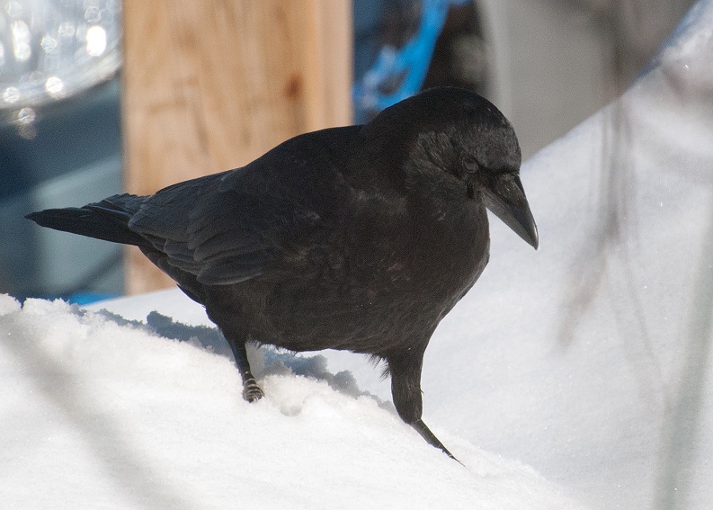 Me, Boomer and The Vermilon River: More Bright skies at the Vermilon ...