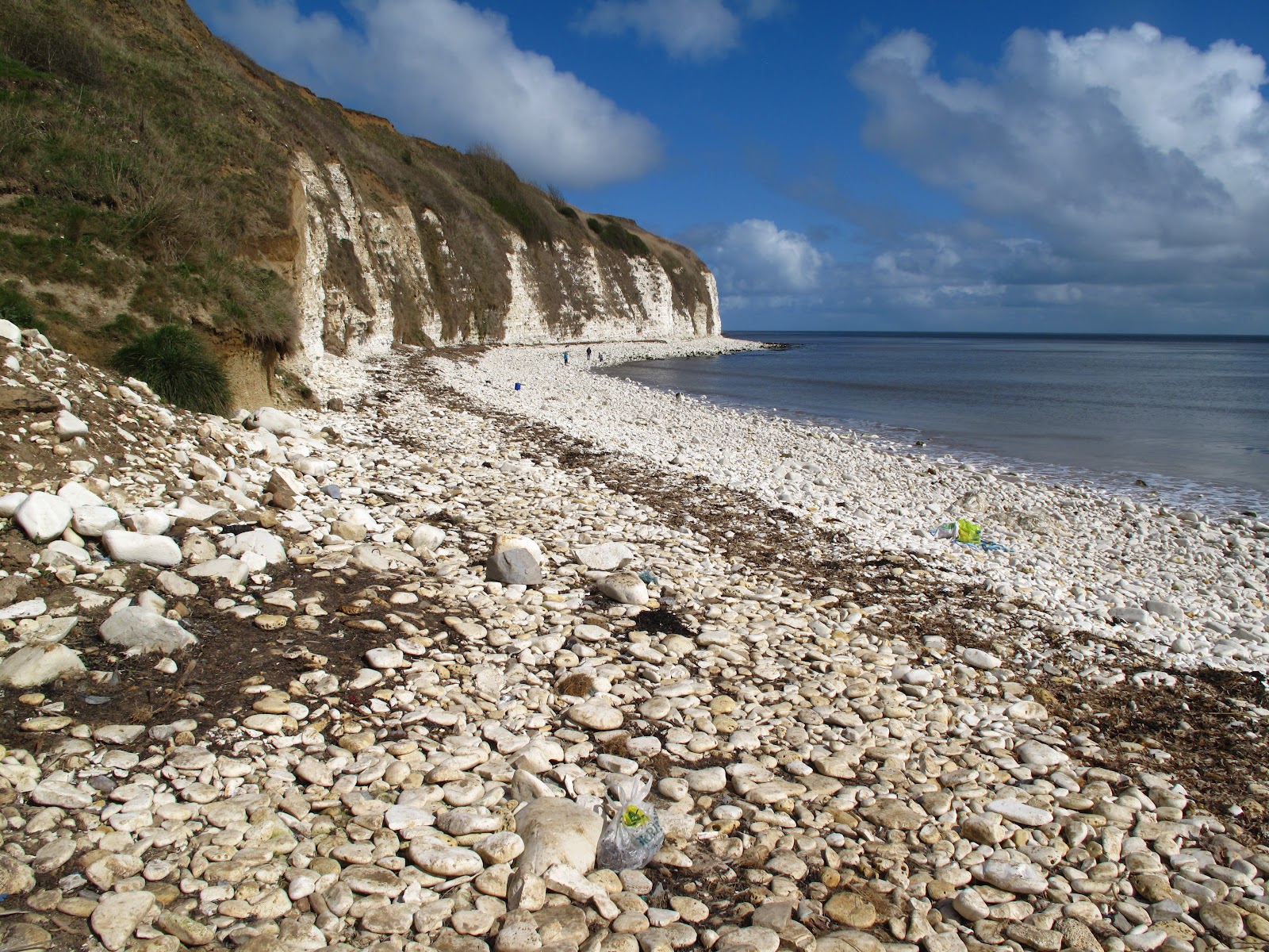 Wild at Hull: Bridlington Harbour and Danes Dyke