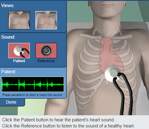 Anatomy and Physiology- It's Going Tibia Okay: Virtual Cardiology Lab