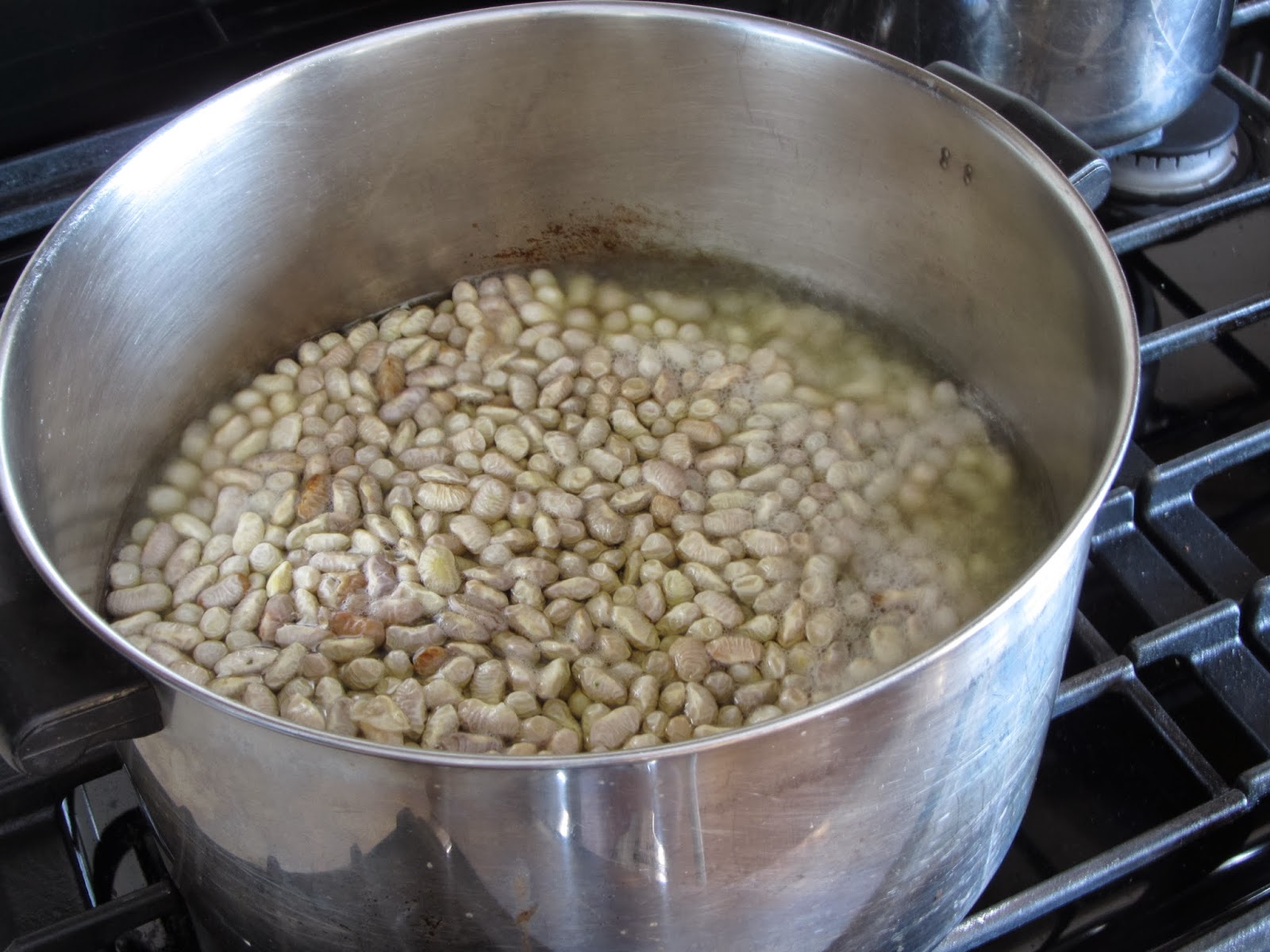 Tracy's Living Cookbook: Mayocoba Bean and Grilled Vegetable Salad with ...