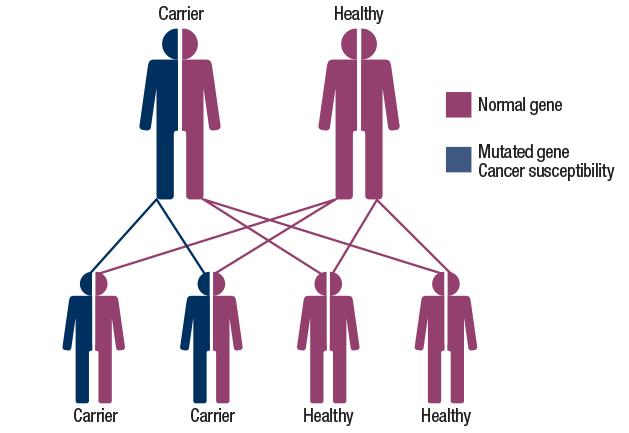 Lung Cancer: Lung Cancer Causes - Pathogenesis