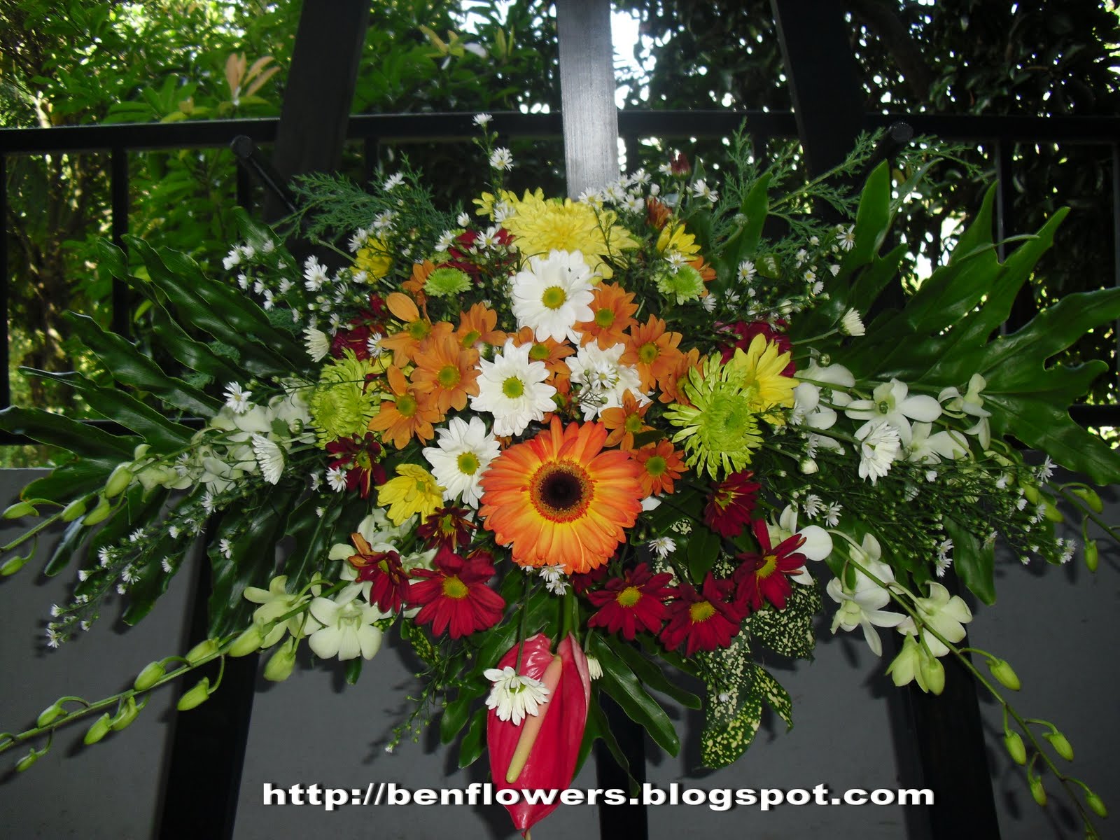 Terpopuler 26+ Aneka Bunga