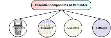 පරිගණක මෘදුකාංග වර්ගීකරණය (Classification of Computer Software)