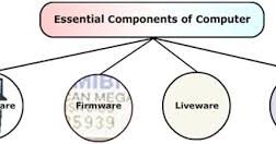 පරිගණක මෘදුකාංග වර්ගීකරණය (Classification of Computer Software)