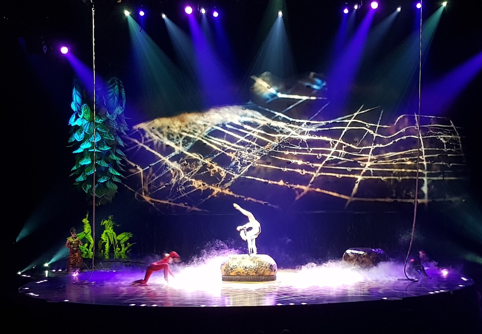 The Brick Castle: Cirque Du Soleil Review: OVO Tour at Manchester Arena ...