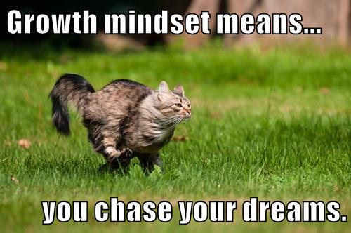 Growth Mindset & Feedback Cats: English: Growth mindset means... you ...