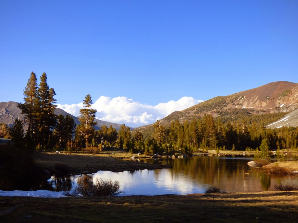 Geotripper: Out of the Desert and Back to the Green Hills of Home