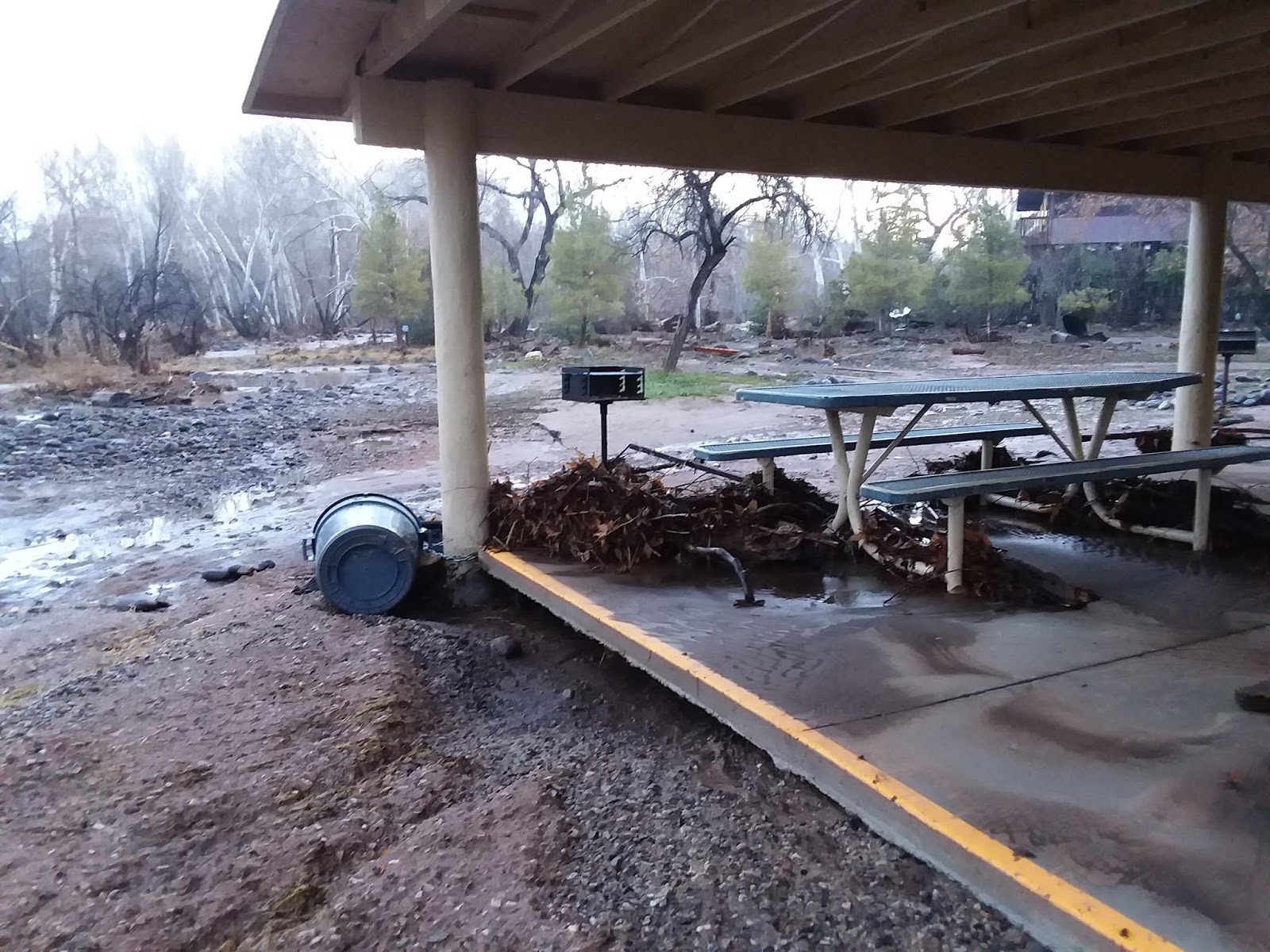 Parsons Preserve: Preliminary Design Commentary #1