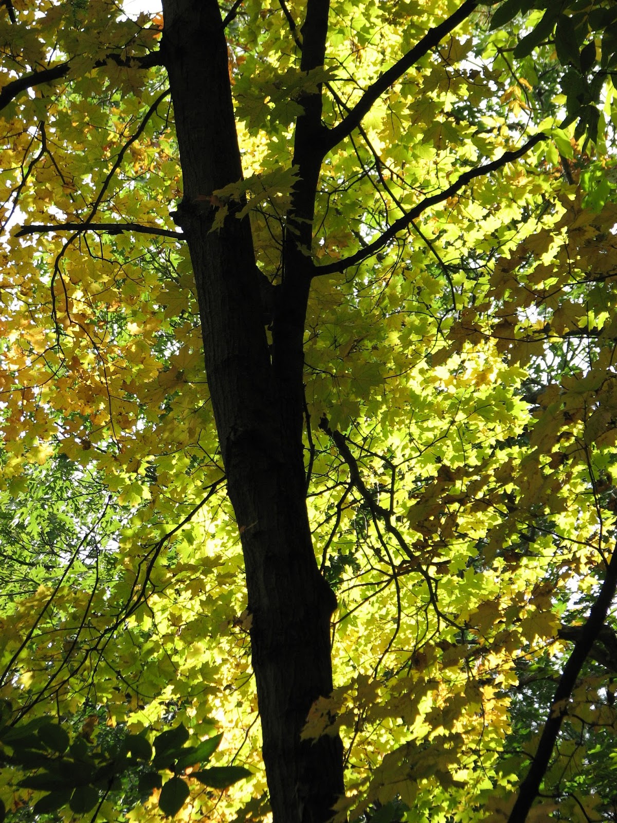 Red Rocks Park -South Burlington, Vermont | Litter with a Story To Tell