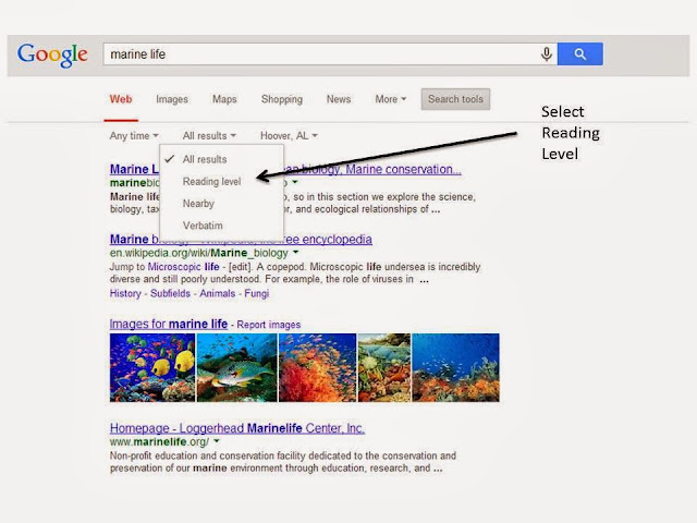 The Compelled Educator: Google Search by Reading Level
