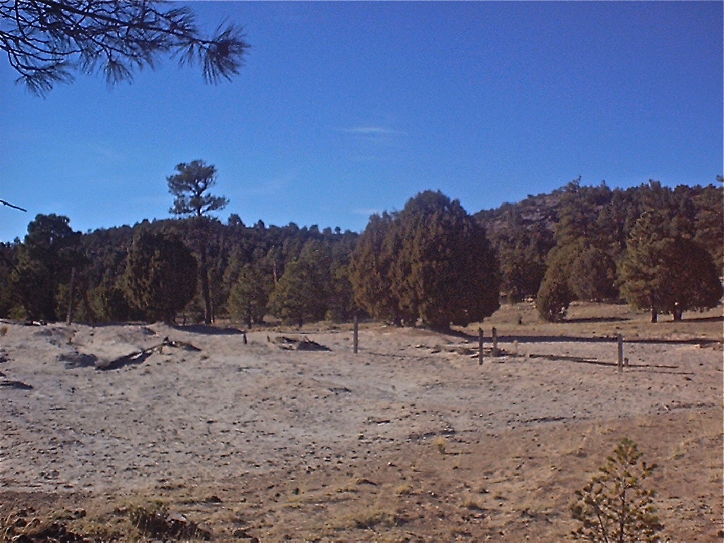 Southern New Mexico Explorer: Rosedale, Potato Canyon - Cibola National ...