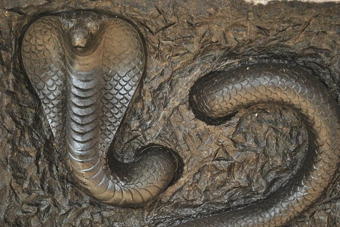 தசா புத்தி சிறு விளக்கம் | ஜோதிட தகவல் களஞ்சியம்