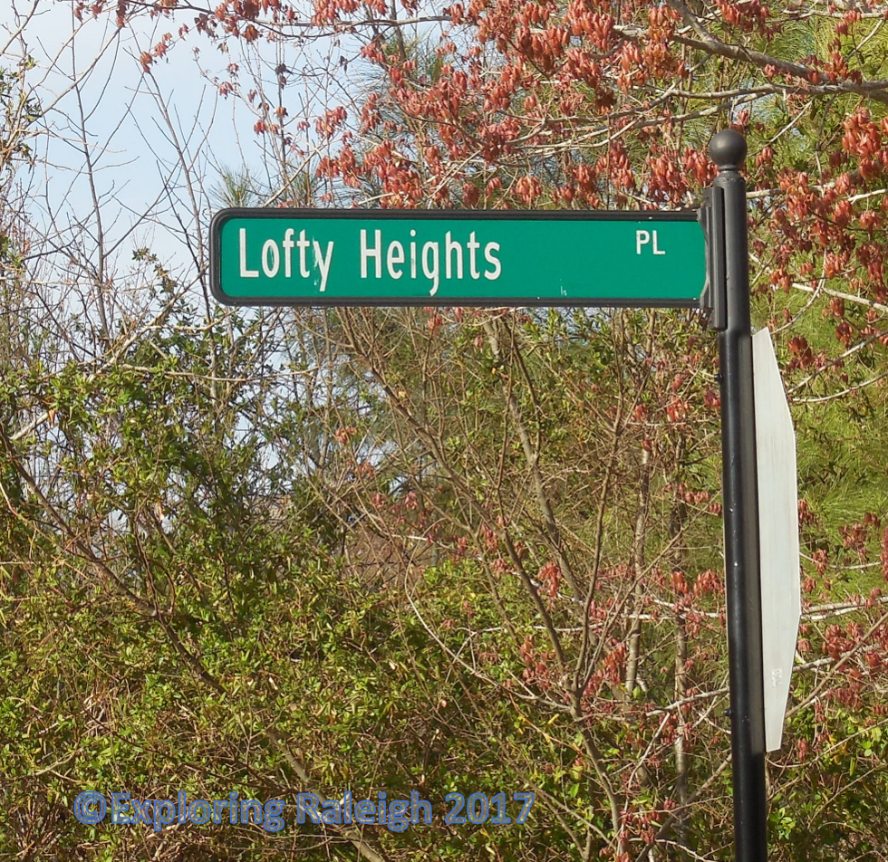 Raleigh Daily Photo: Lofty Heights