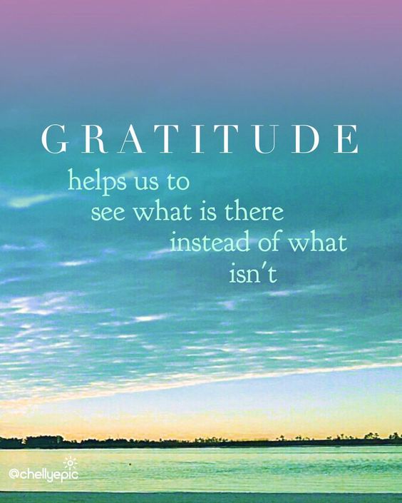 Labor Not in Vain : Wednesday Gratitude