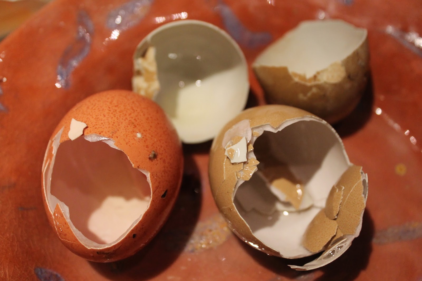 Maakad linnast - Meie uus algus: Kanad, kuked ja munad