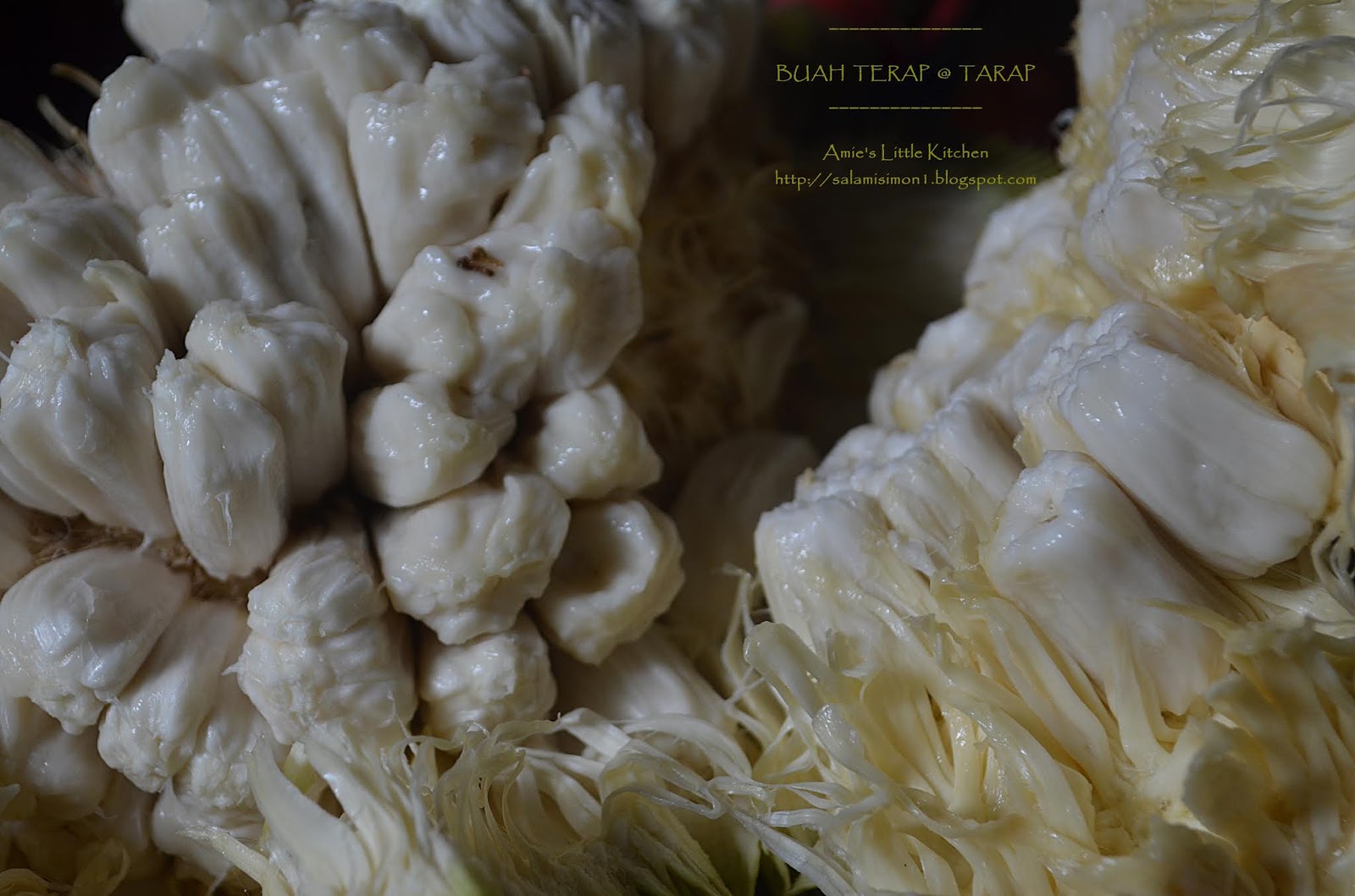 Buah Terap @ Tarap - Amie's Little Kitchen