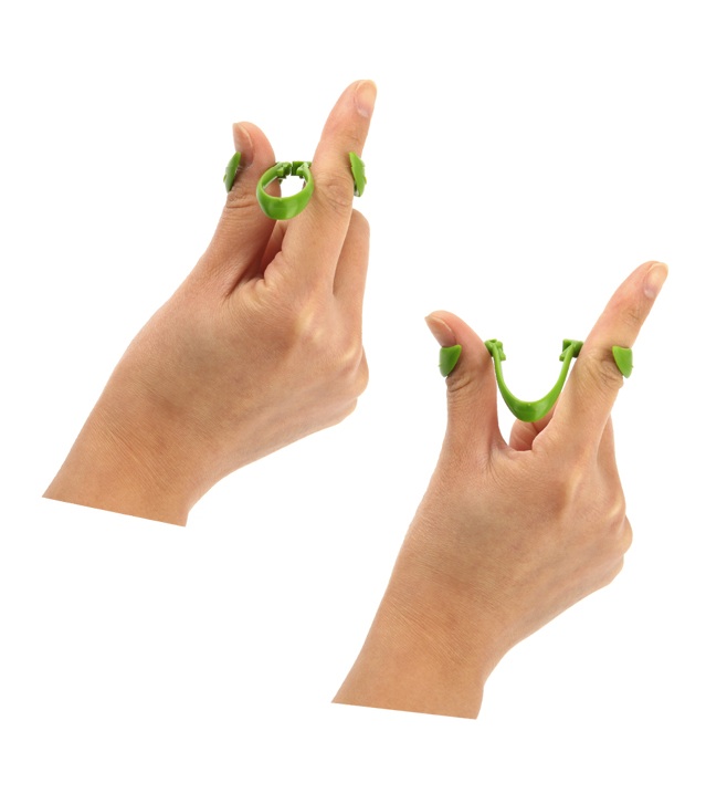 Jim Long's Garden: Ultimate Plant Support for Container Plants