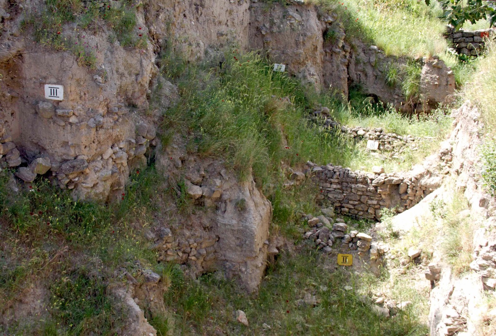 Exploring the World in 'Blue Velvet of Sark': Ancient Troy