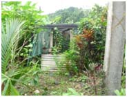 Mataisau: Our Island Home