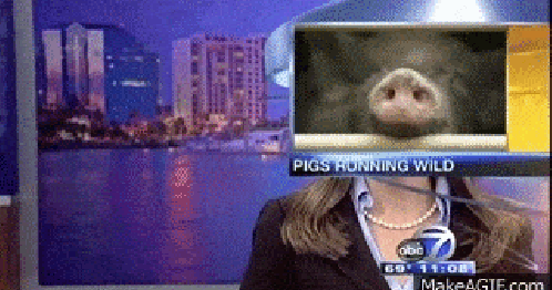 Chuck's Fun Page 2: 15 animated GIFs that amuse me