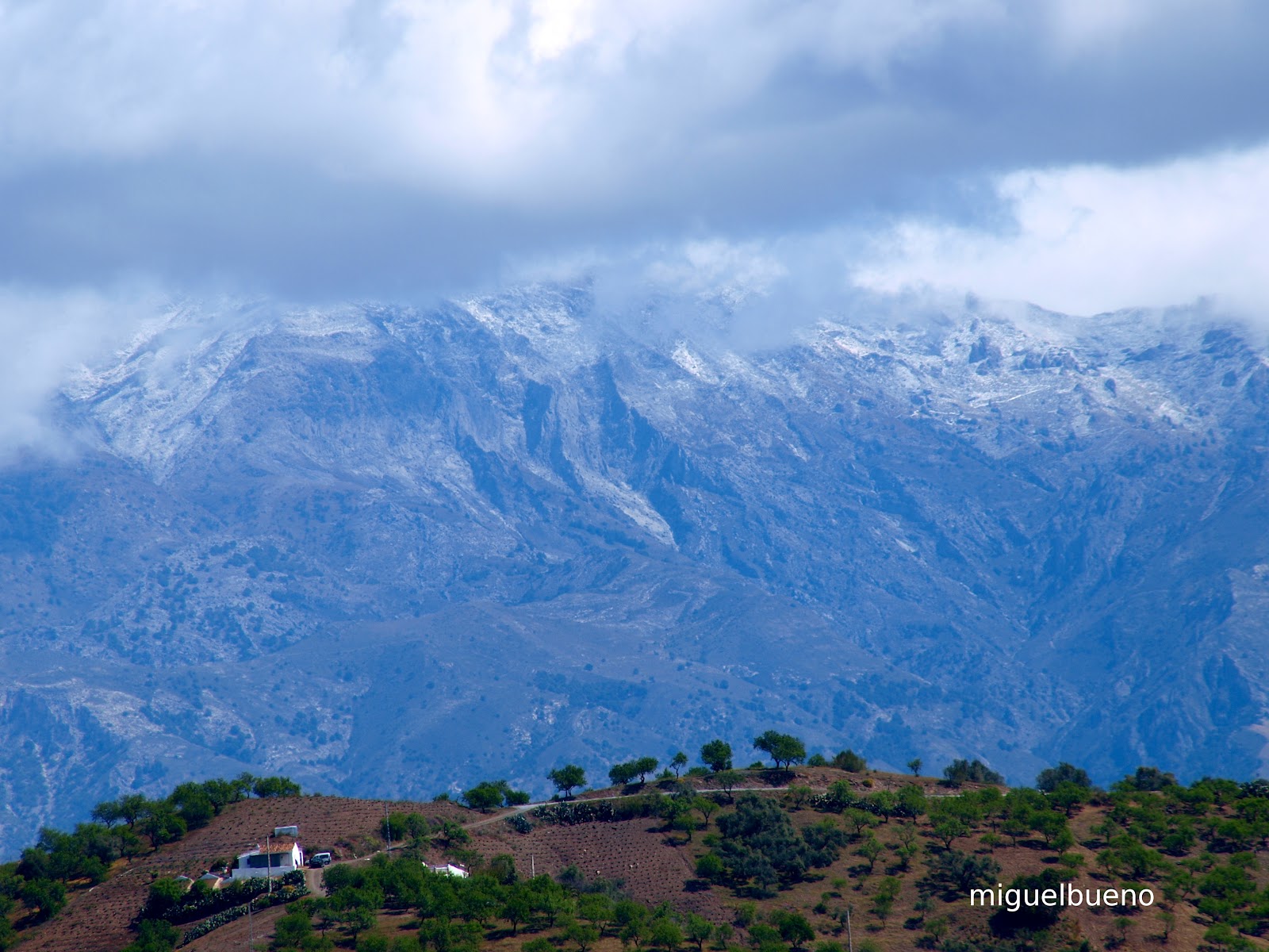 Piedra: Caminando por la Axarquía. Benaque.