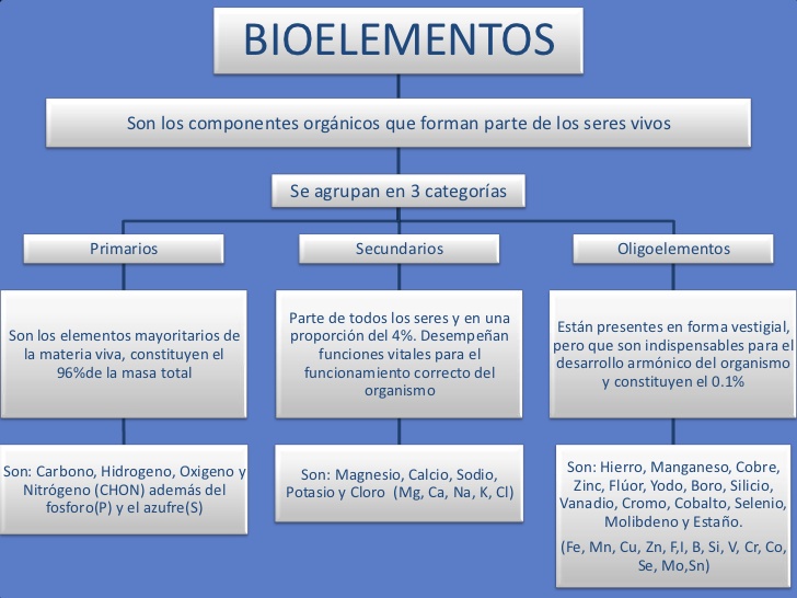 LOS VALORES: ORIGEN DE LA VIDA, BIOELEMENTOS, BIOMOLÉCULAS