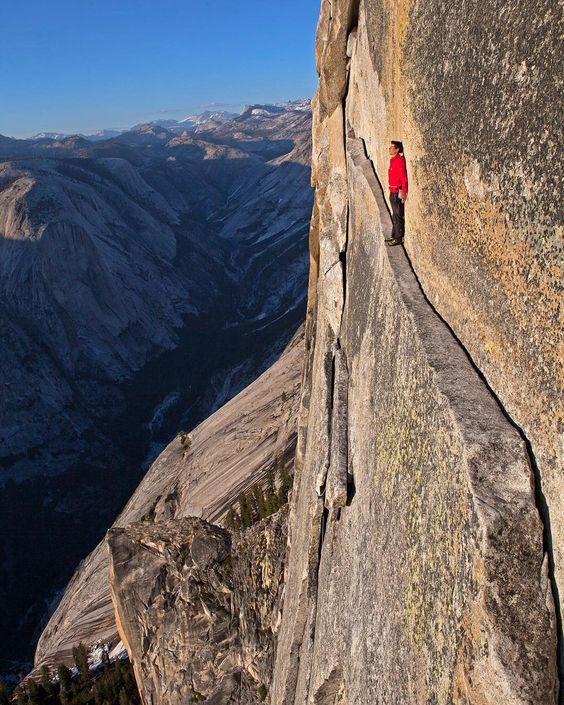 The Opposite Of Courage Isn t Cowardice It Is Conformity the-opposite-of-courage-isn-t-cowardice-it-is-conformity